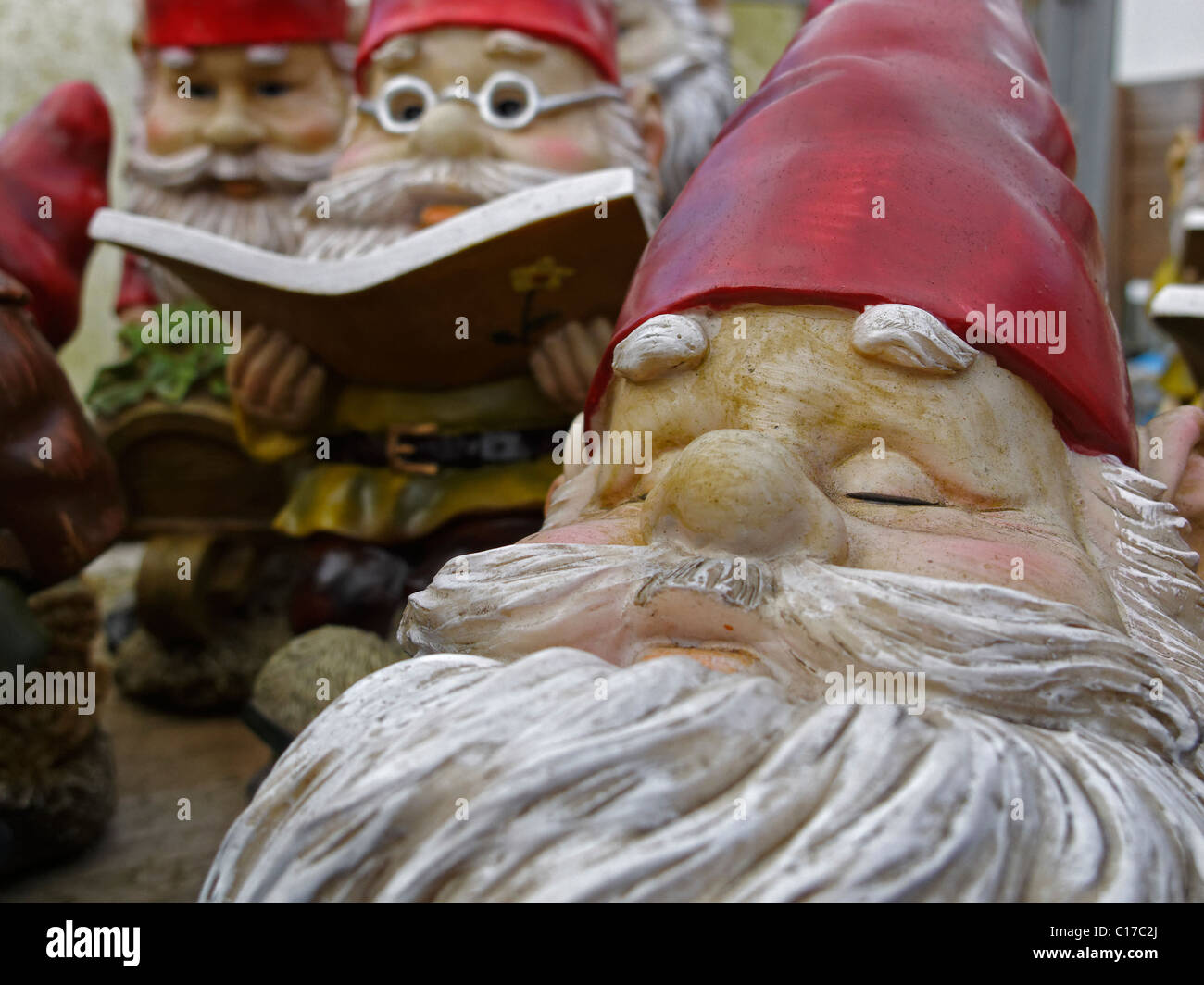 Garden gnomes. Lincolnshire, England Stock Photo - Alamy