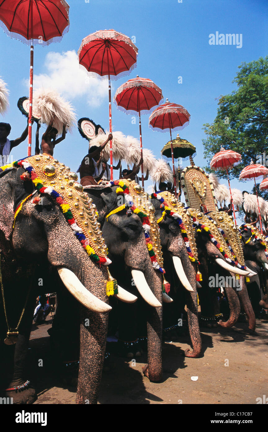 MAA-61061 : Trichurpooram pooram ; elephant march festival ; Trichur ...