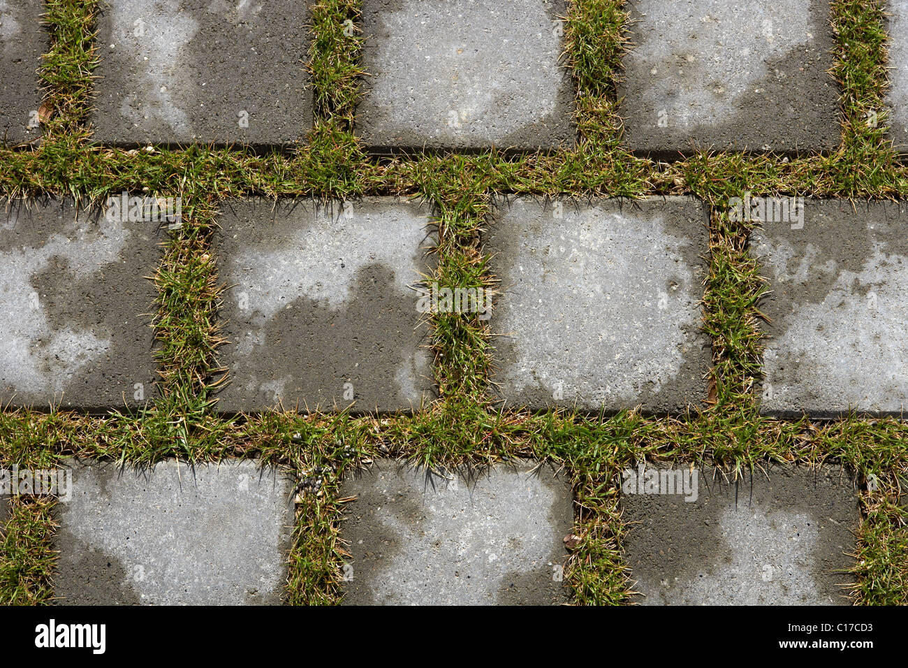 Paving Stone with grass. Barcelona. Spain Stock Photo - Alamy