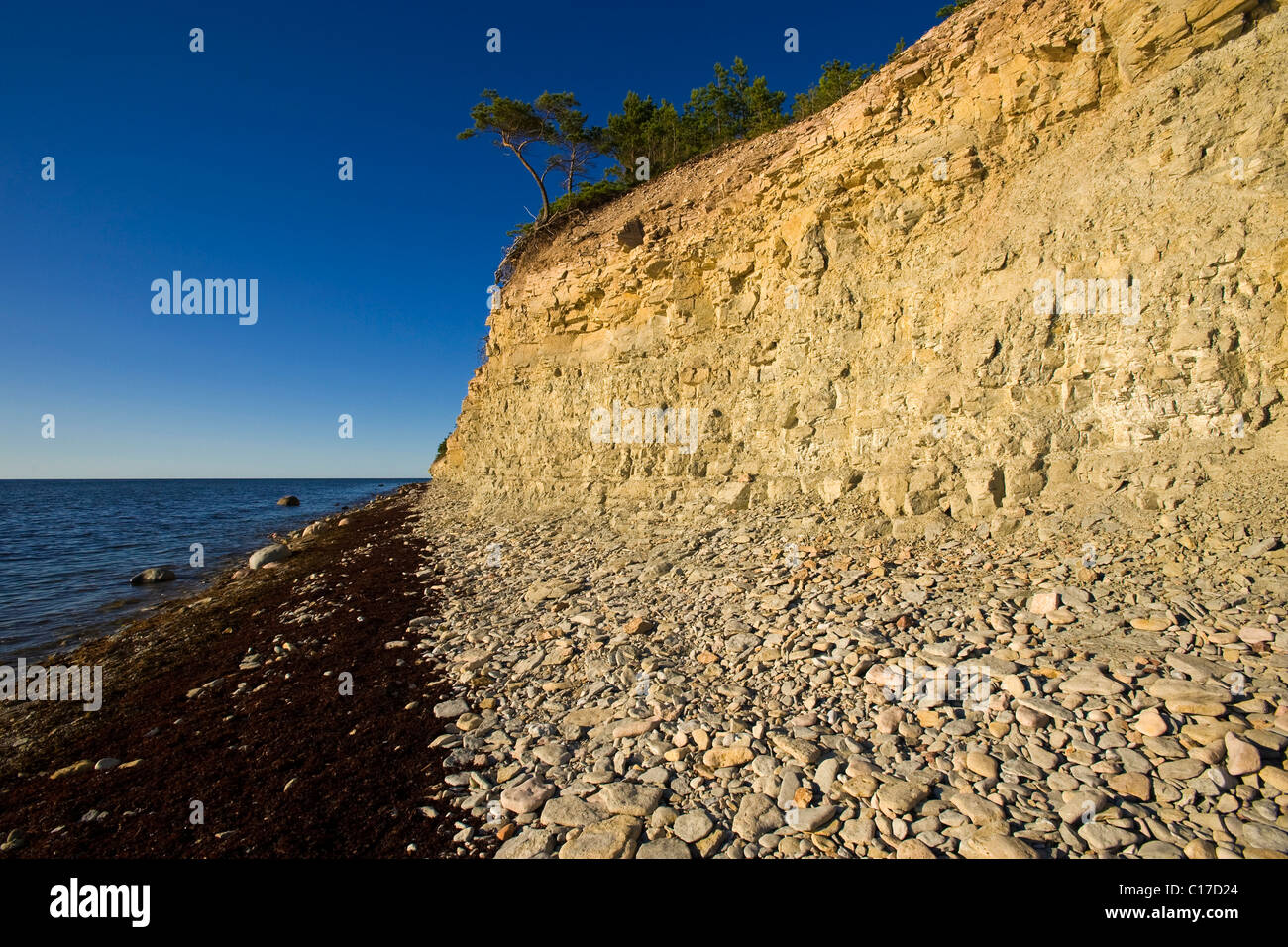 Coastal cliffs estonia hi-res stock photography and images - Alamy