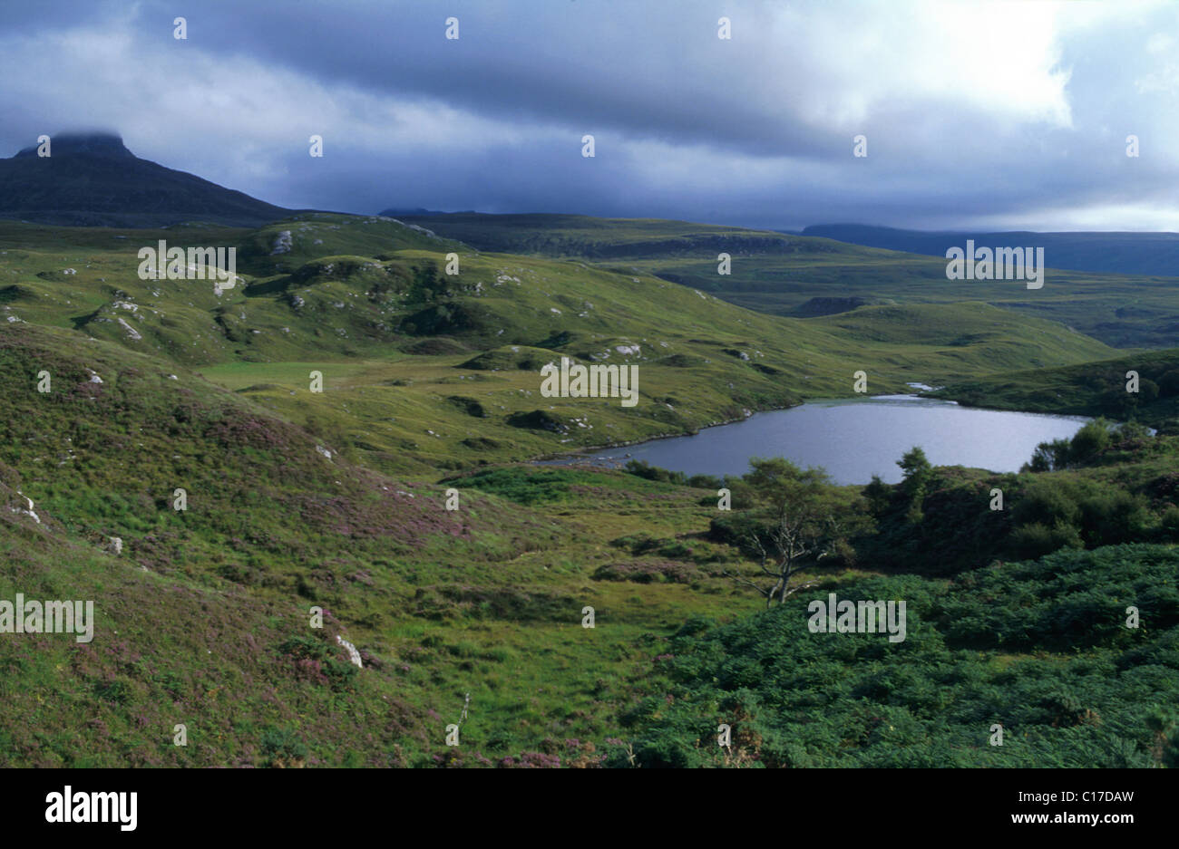 United Kingdom, Scotland, Highlands region, Cairnghorm mountains Stock ...