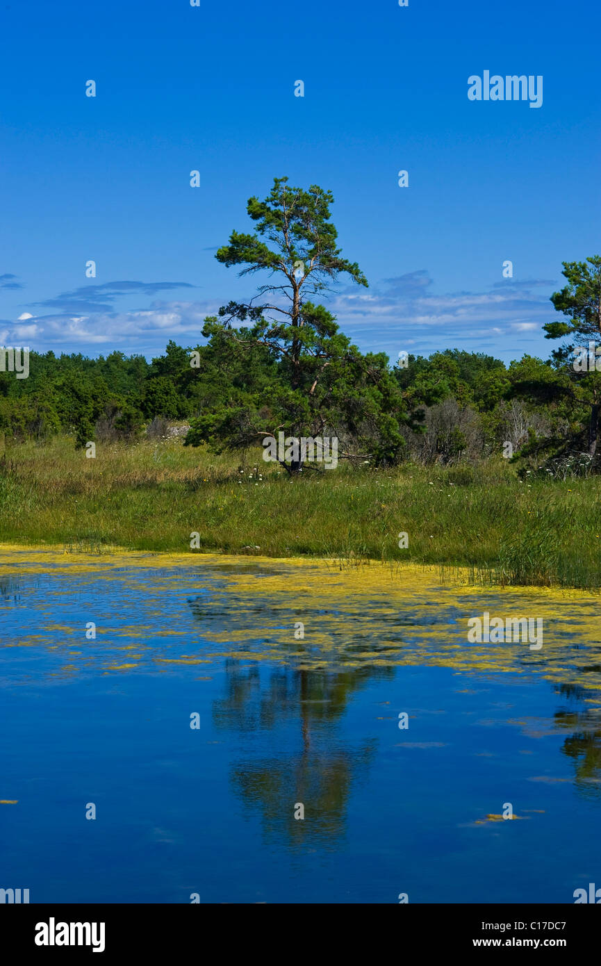 Vilsandi island hi-res stock photography and images - Alamy