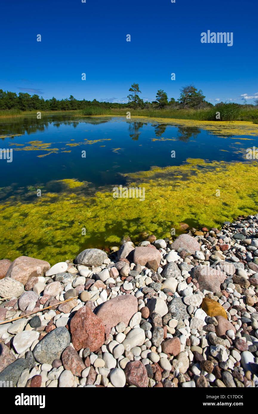 Vilsandi national park hi-res stock photography and images - Alamy