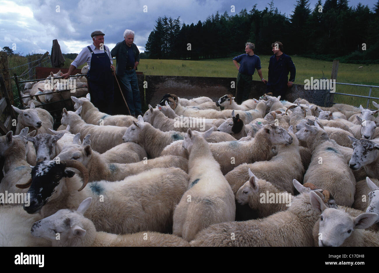 United Kingdom, Scotland, Highlands region Stock Photo - Alamy