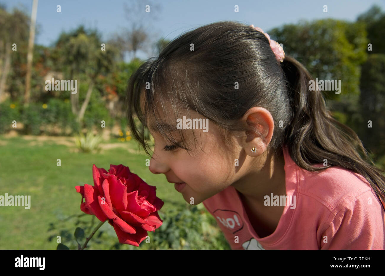 Smelling rose hi-res stock photography and images - Alamy