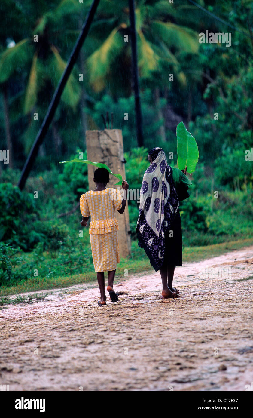 Tanzania, Zanzibar Archipelago, Unguja Island (Zanzibar Stock Photo - Alamy