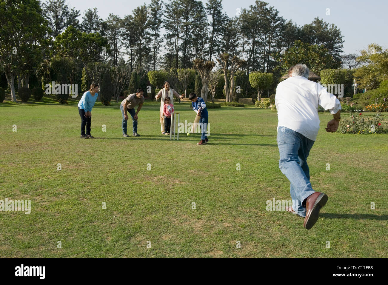 Family playing cricket in lawn Stock Photo - Alamy