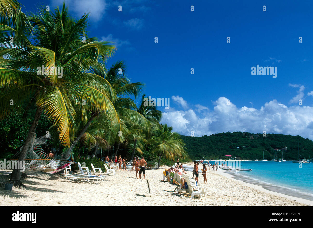 Palm trees on a beach, White Bay on Jost Van Dyke Island, British ...