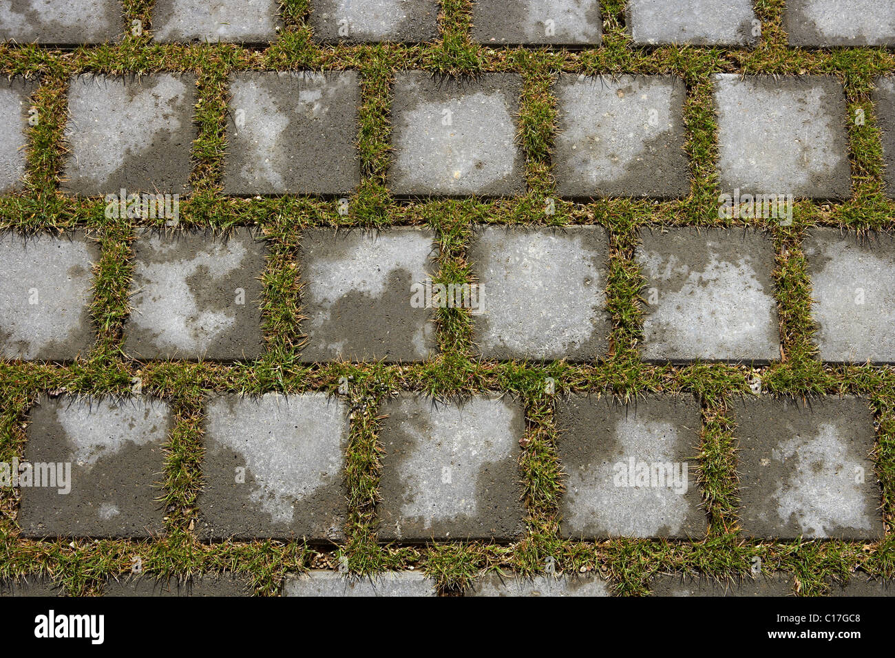 Paving Stone with grass. Barcelona. Spain Stock Photo - Alamy
