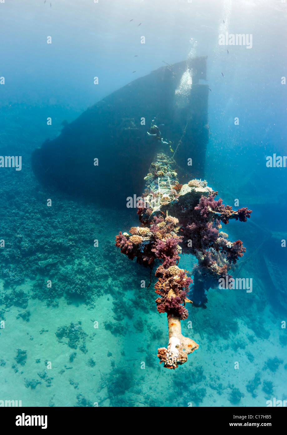 Scuba diver makes way along hi-res stock photography and images - Alamy