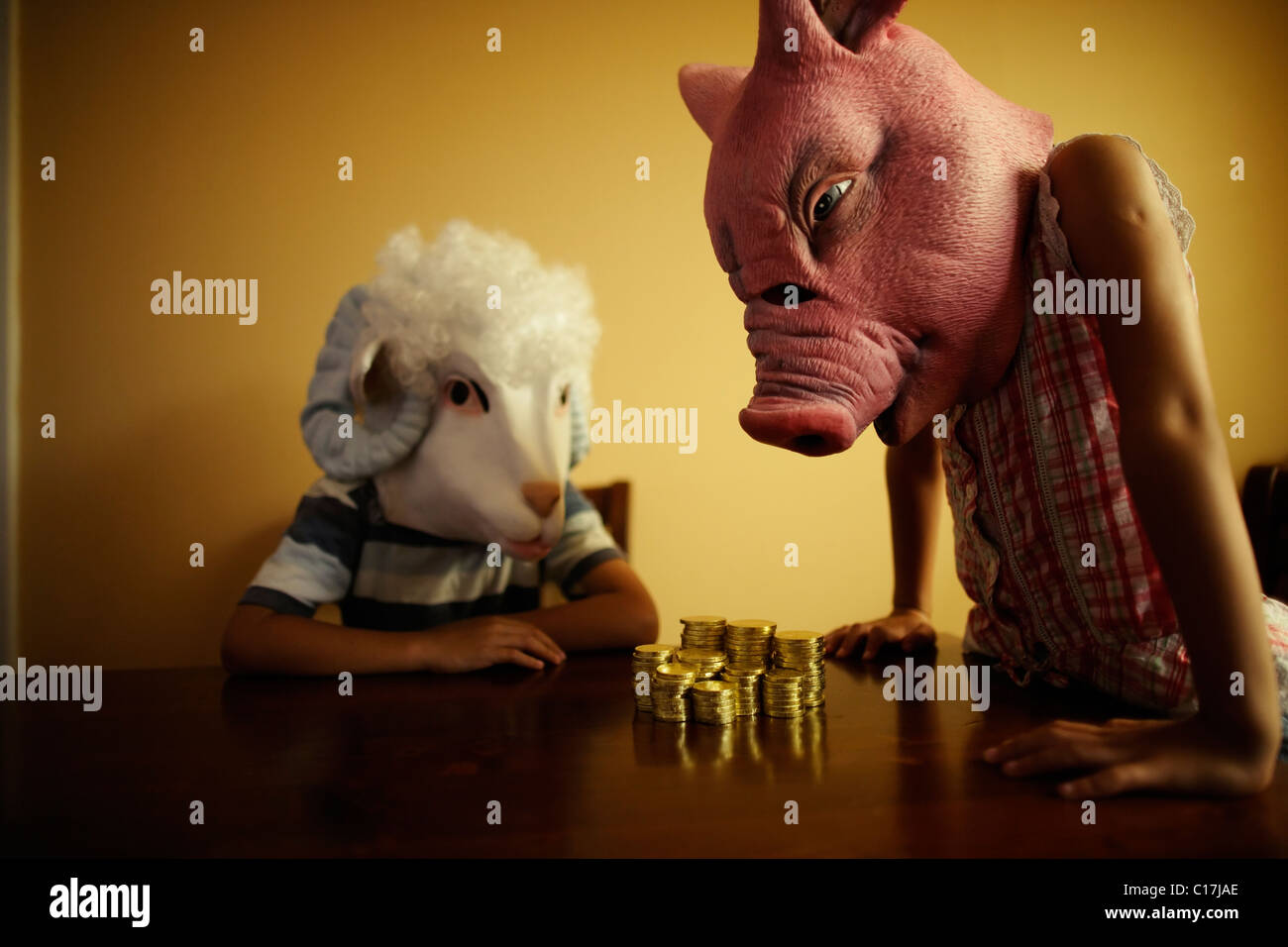 Sheep and pig hi-res stock photography and images - Alamy