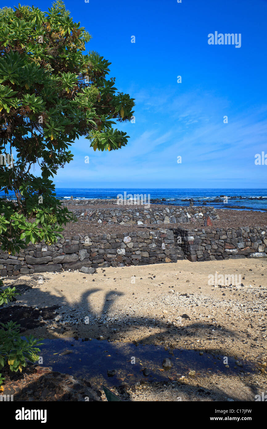 Hapaialii heiau (temple) in Keauhou, Kona Hawaii Stock Photo - Alamy