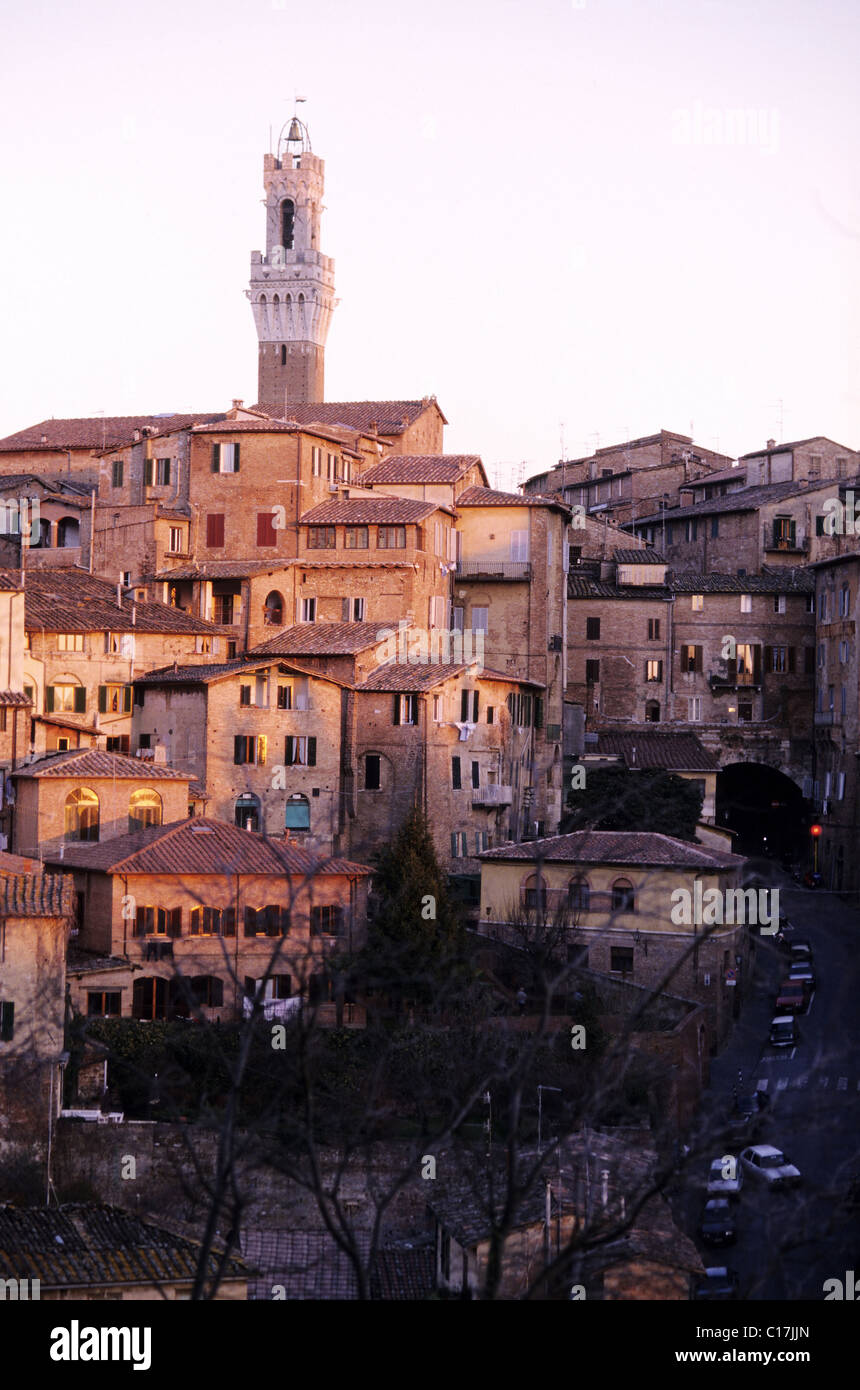 Italy, Tuscany, Siena, old town general view Stock Photo - Alamy