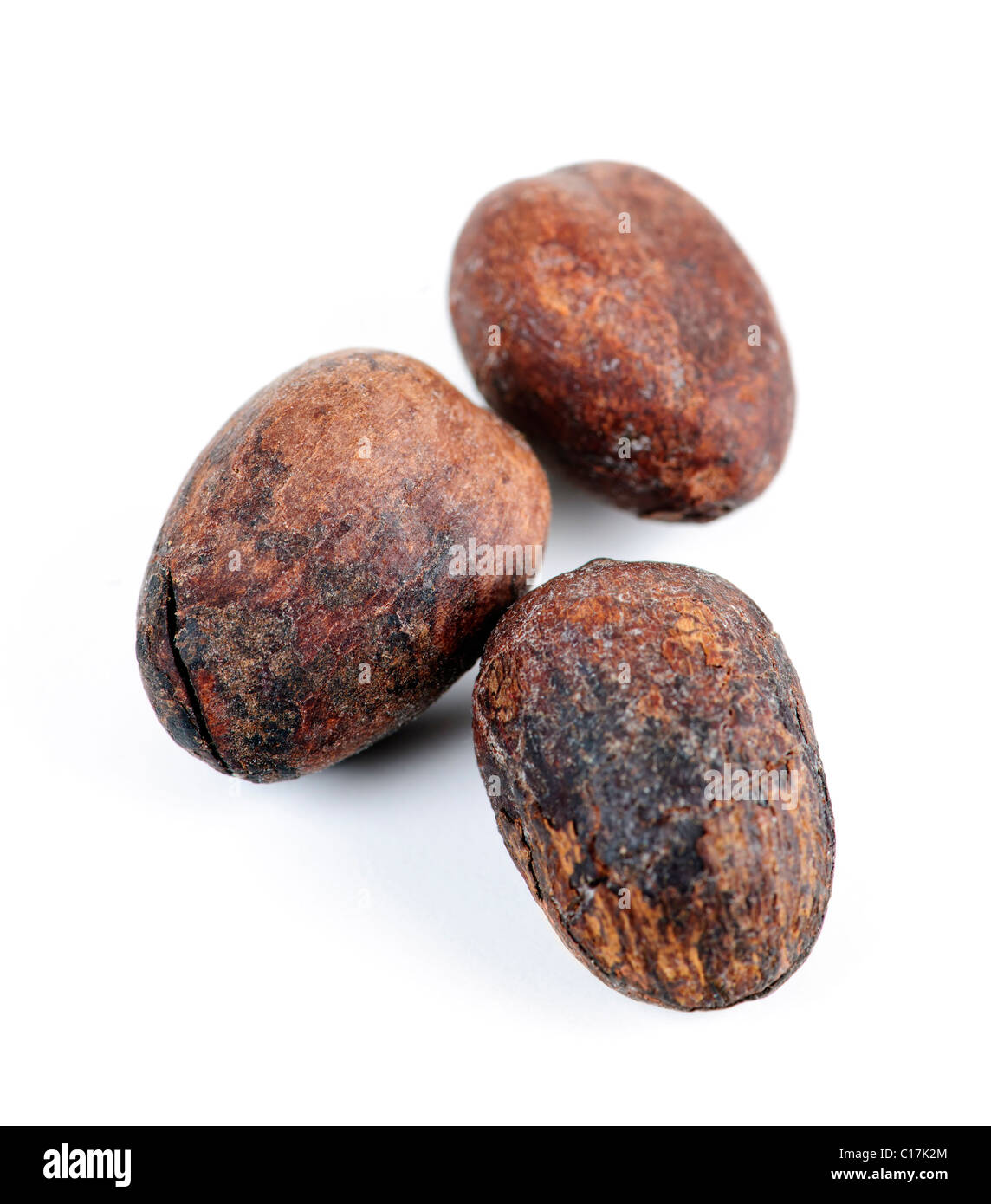 Raw unprocessed shea nuts isolated on white background Stock Photo - Alamy