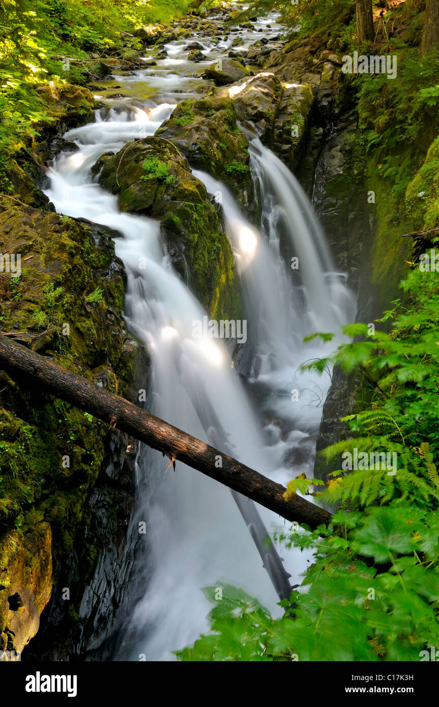 Sol Duc Falls, waterfalls, tourist attraction, Olympic Peninsula, national park, Washington, USA ...