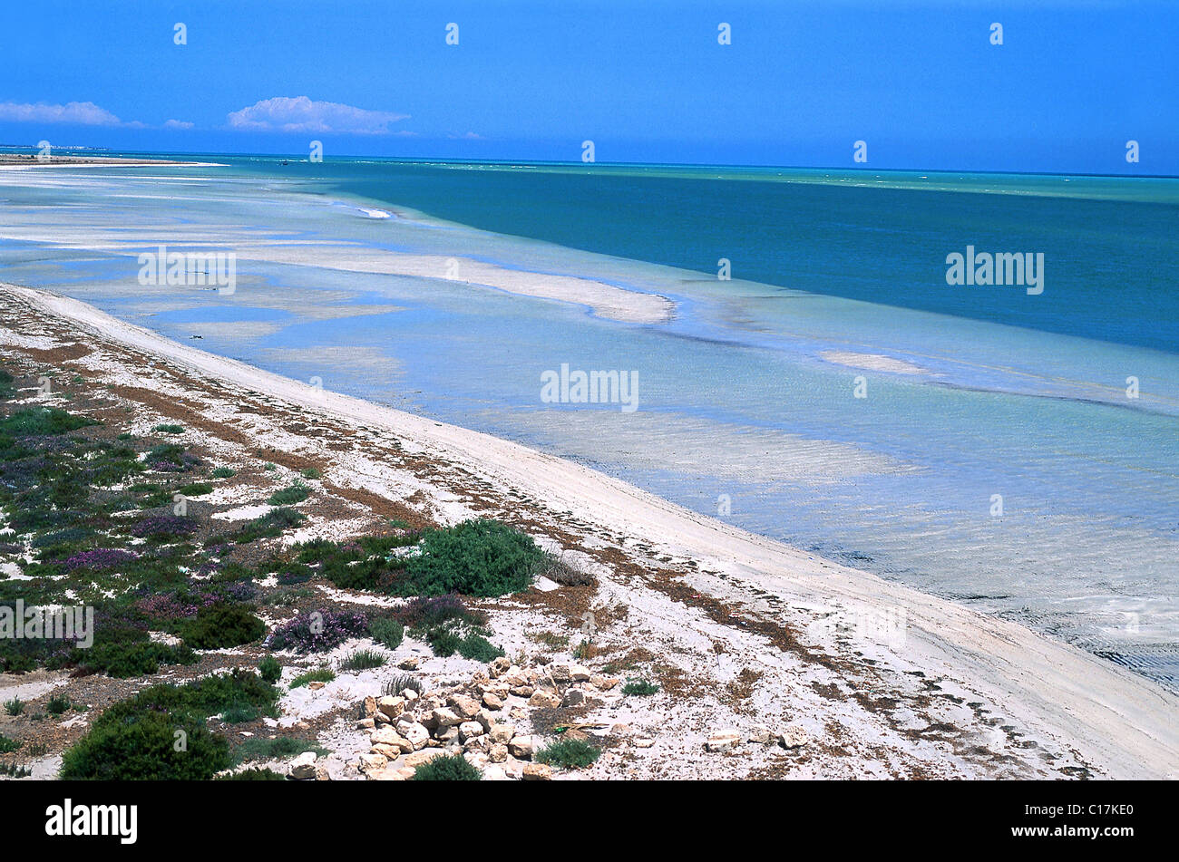 Tunisia, Jerba , northeast coast beaches Stock Photo - Alamy
