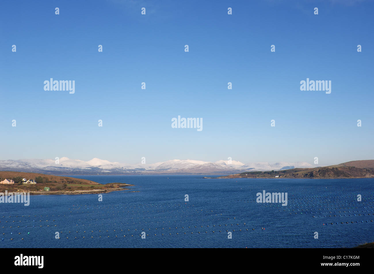Mussel farm hi-res stock photography and images - Alamy