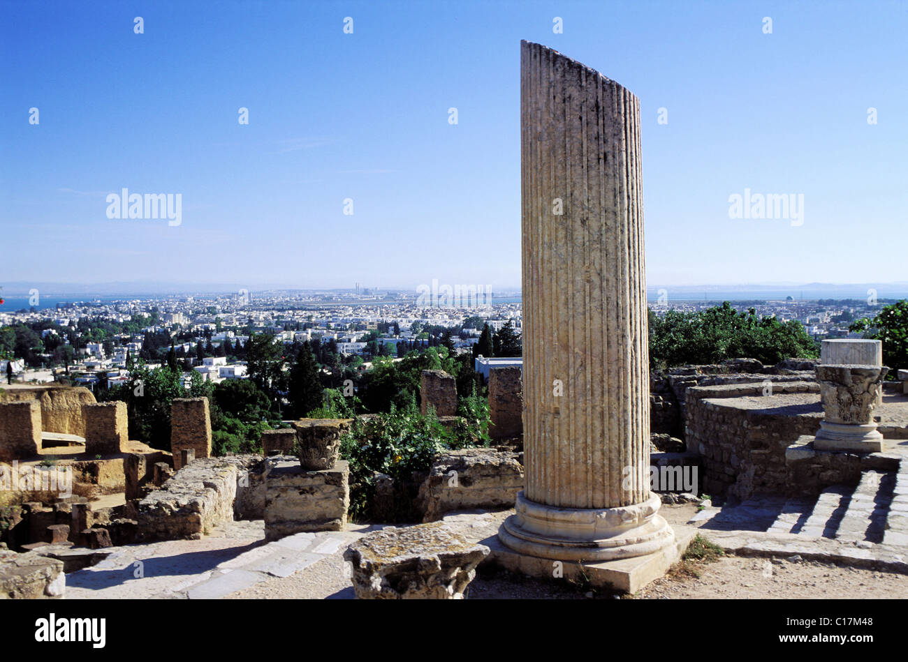 Tunisia, Tunis, Carthage ruins Stock Photo - Alamy