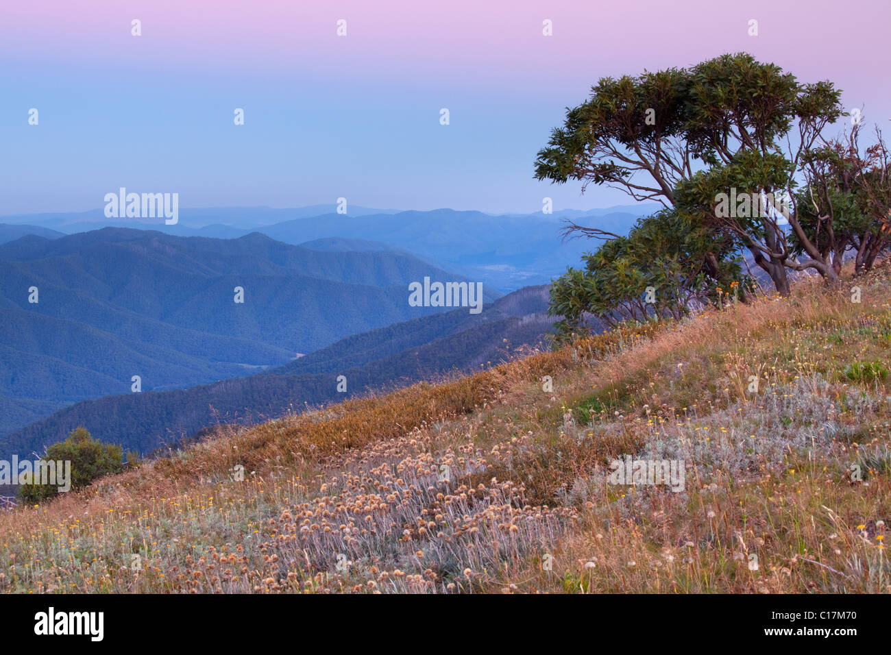 The Australian Alps at daybreak from Alpine National Park, Victoria ...