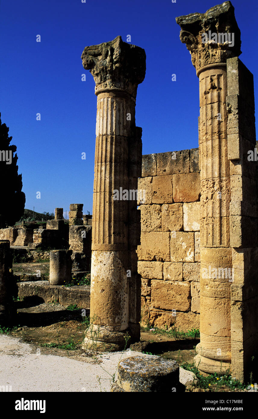 Tunisia, northern region, Utique archaeological site, ruins of the ...