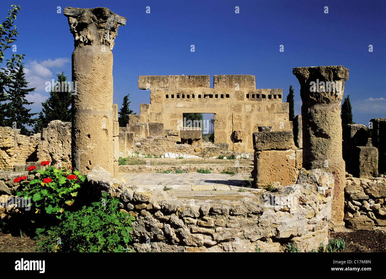 Tunisia, northern region, Utique archaeological site, ruins of the ...