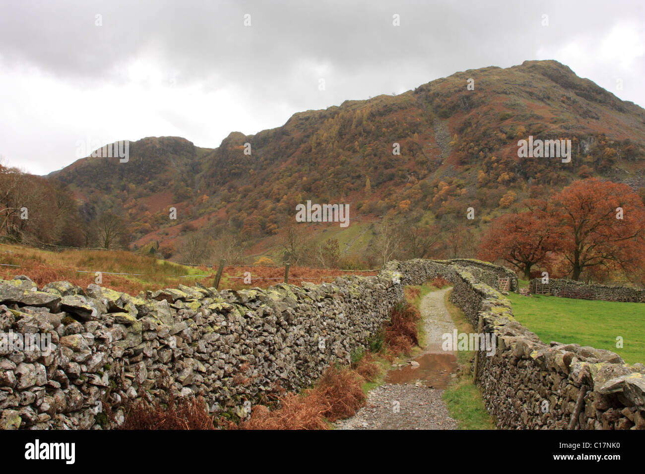 Cumbria footpath hi-res stock photography and images - Alamy