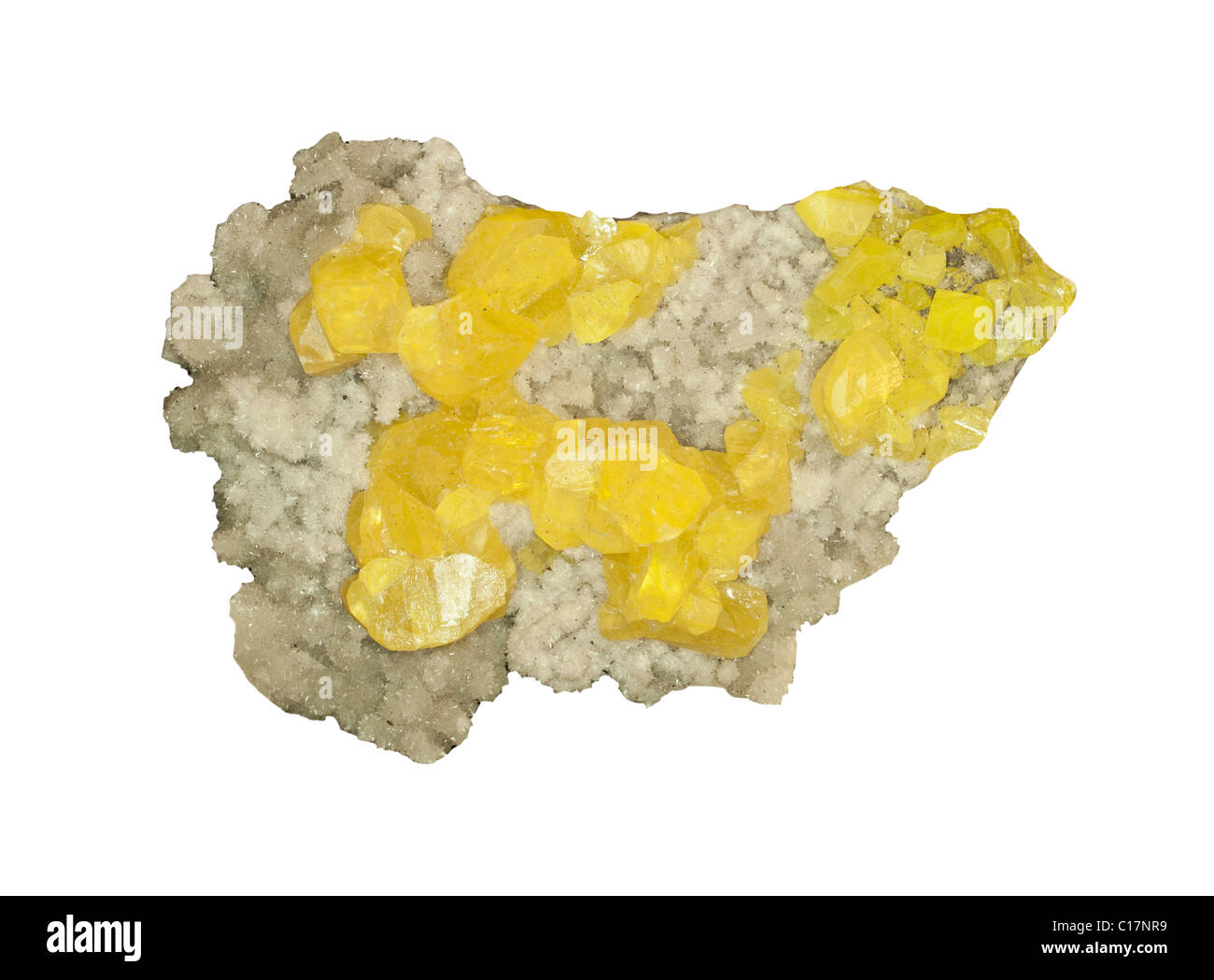 Native sulphur Cut Out Stock Images & Pictures - Alamy