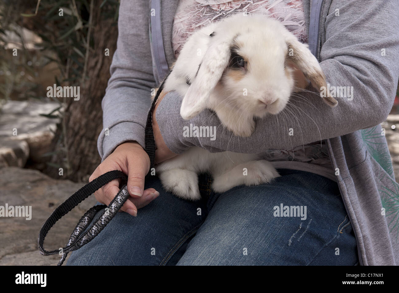 Bunny baby holding bunny hi-res stock photography and images - Alamy