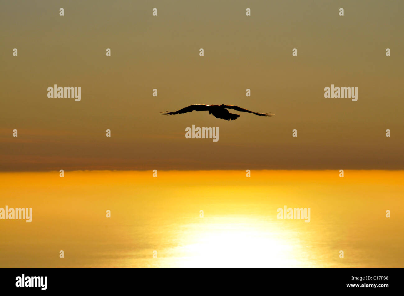 Flight to mountain hi-res stock photography and images - Alamy