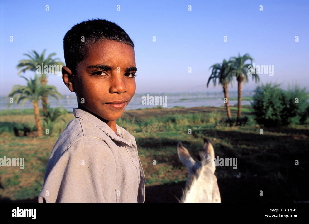 Egypt, Luxor, Young boy portrait living in the countryside Stock Photo ...