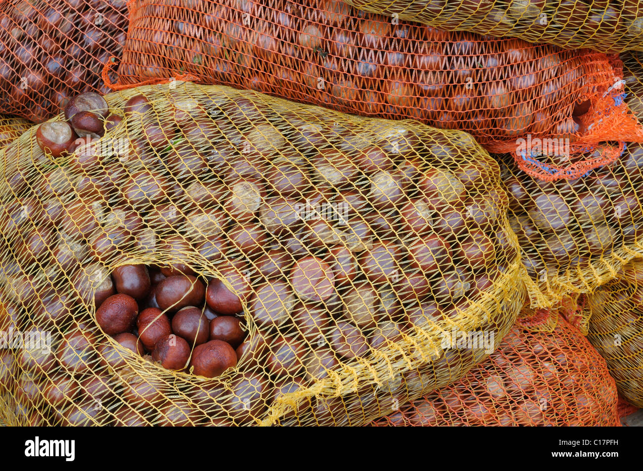 Horse Feed Bags High Resolution Stock Photography and Images - Alamy