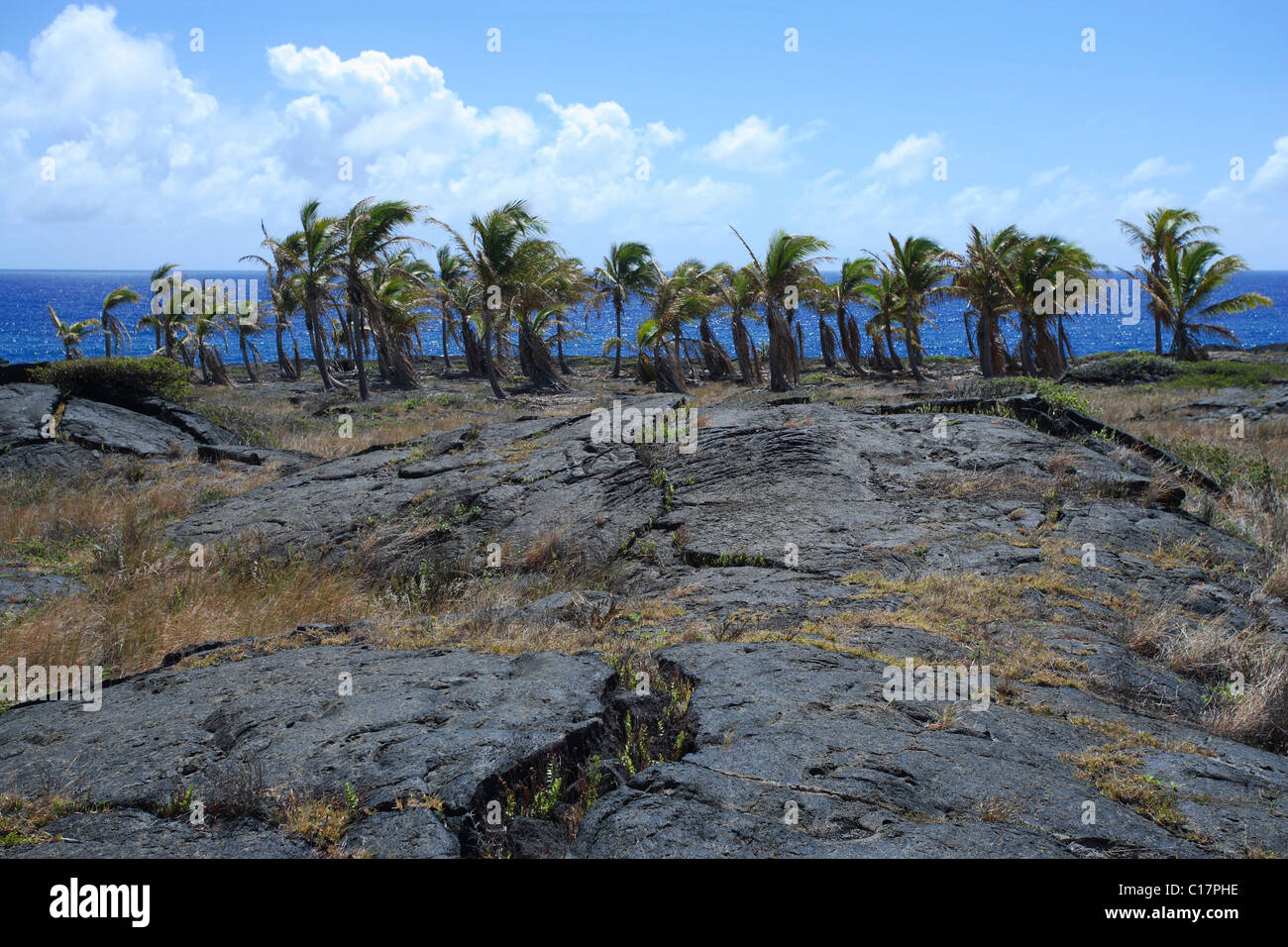 Volcano-Park, Hawaii, USA Stock Photo - Alamy