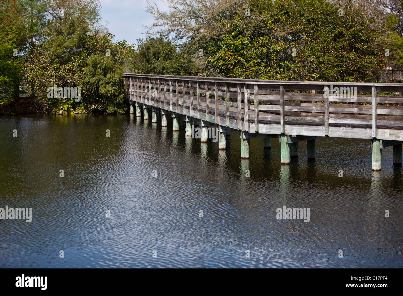 Elevated wooden boardwalk, Green Cay Wetlands, Nature Center, Florida ...