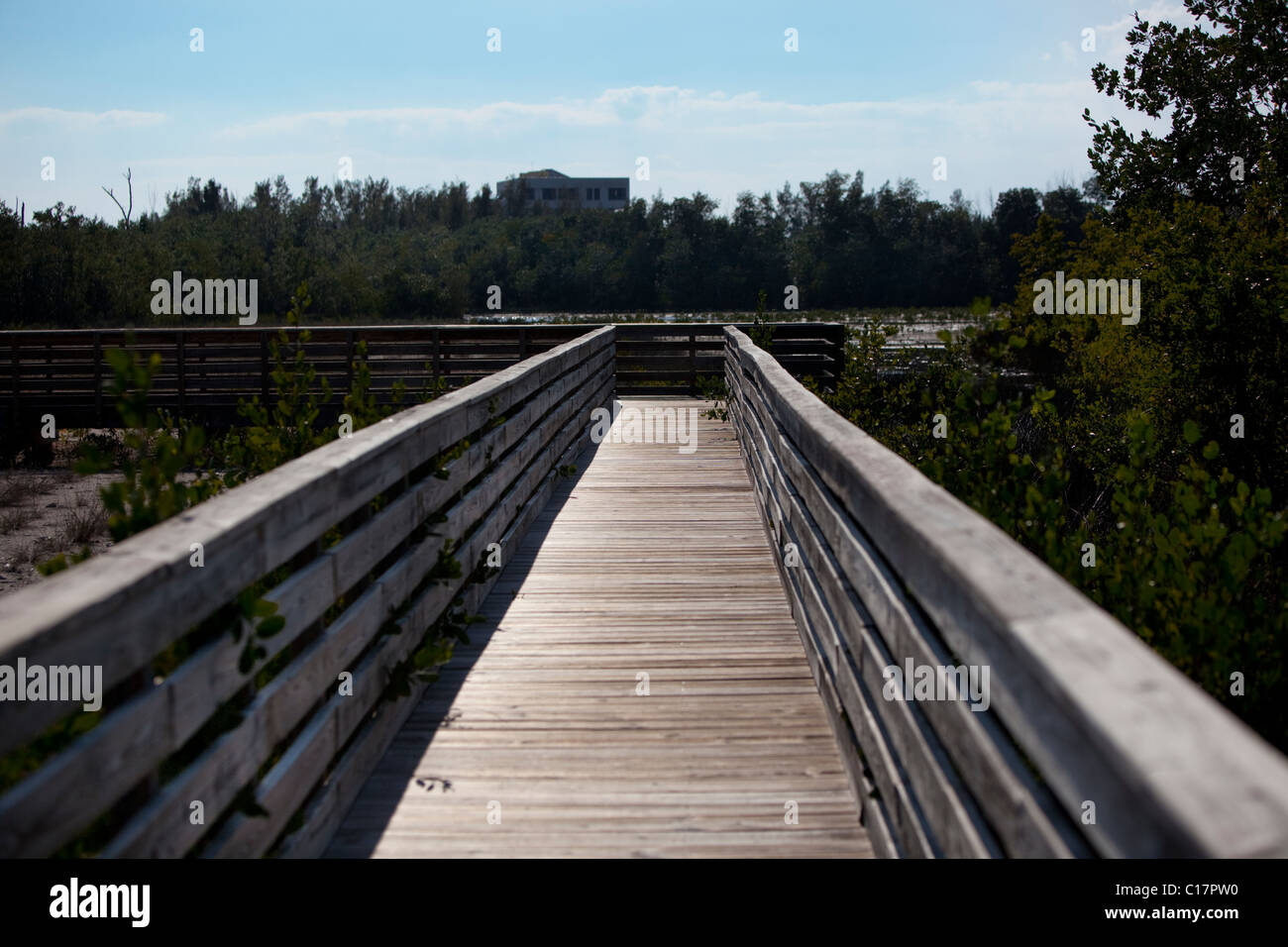 Elevated boardwalk, Green Cay Wetlands nature center, Florida, USA ...