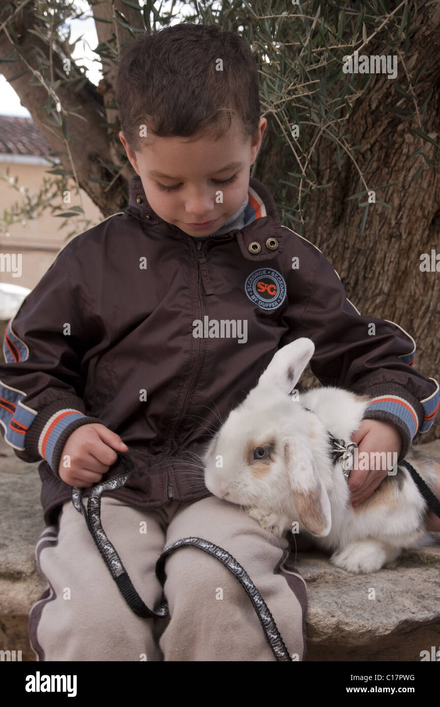 little boy with pet rabbit on lead Stock Photo - Alamy