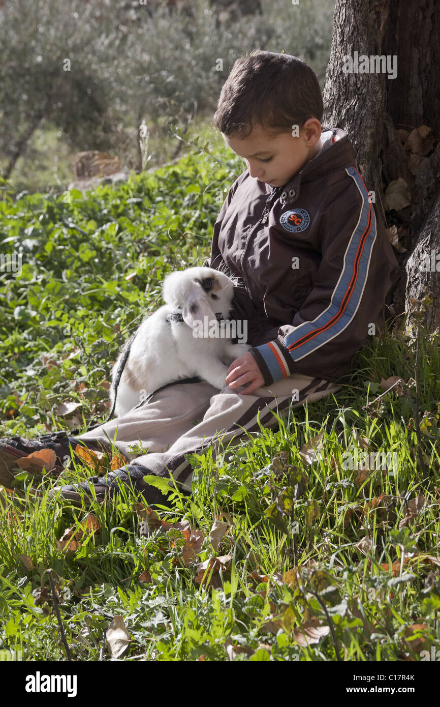 little boy with pet rabbit on lead Stock Photo - Alamy