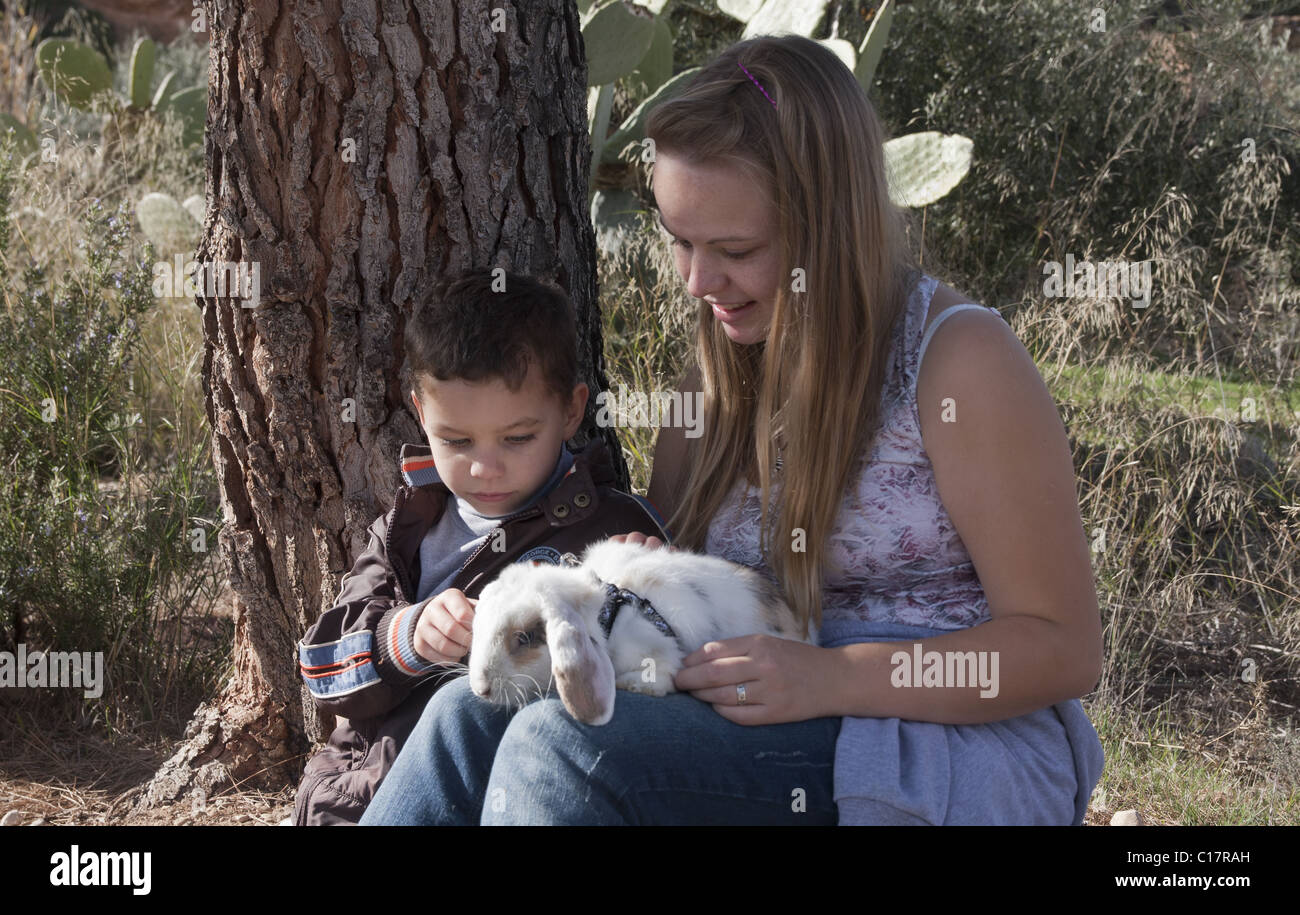 little boy with pet rabbit on lead Stock Photo - Alamy