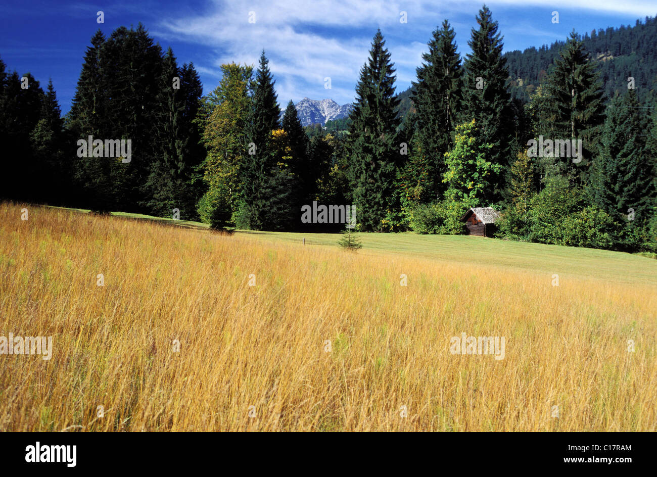 Bavaria area hi-res stock photography and images - Alamy