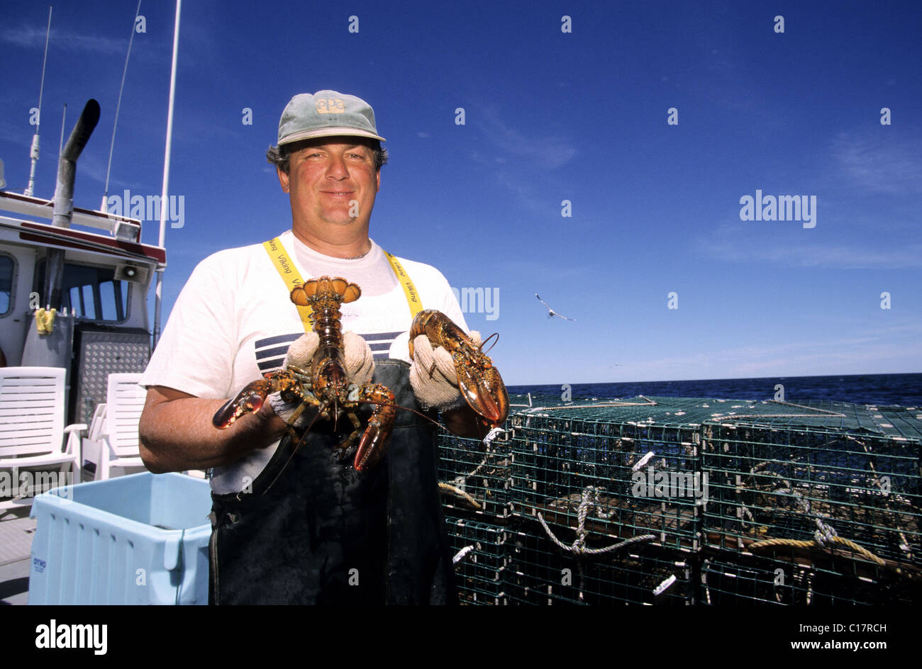 Canada, New-Brunswick, lobster fisherman of the acadian peninsula Stock ...