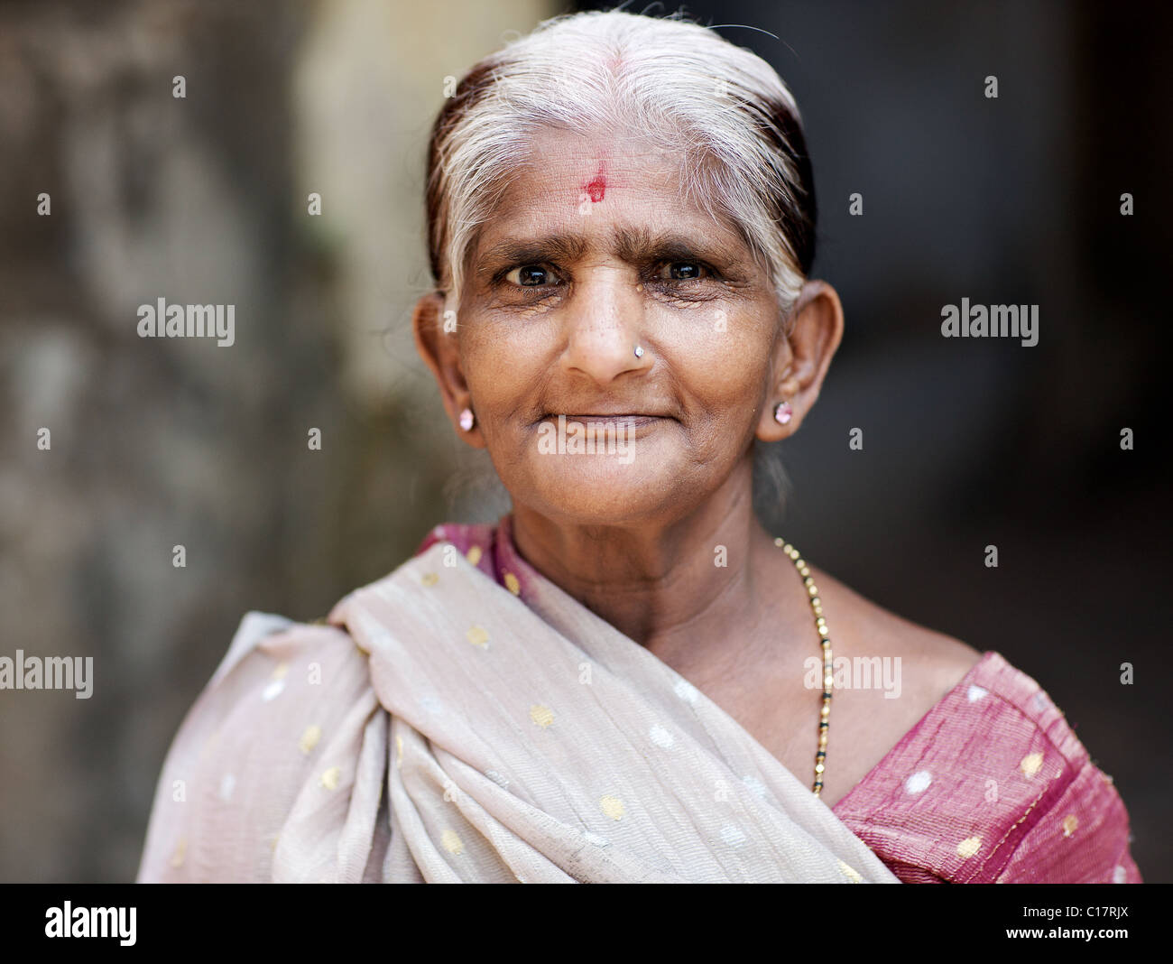 Pride of kerala hi-res stock photography and images - Alamy