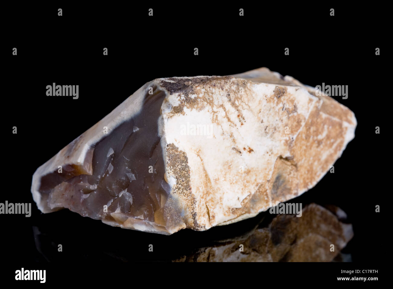 Flint (flintstone) in limestone Stock Photo - Alamy