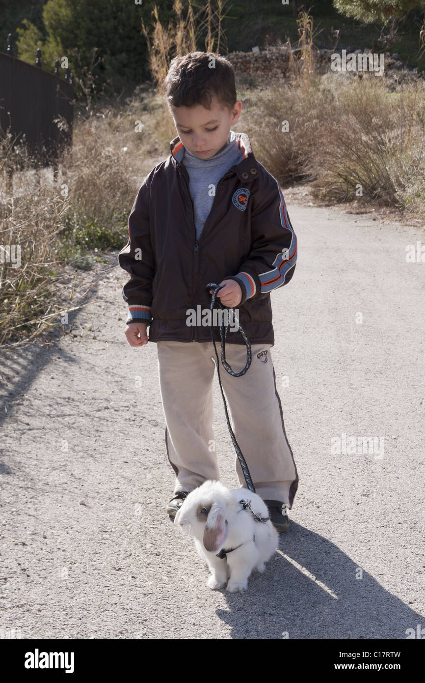 little boy walking pet rabbit on lead Stock Photo - Alamy
