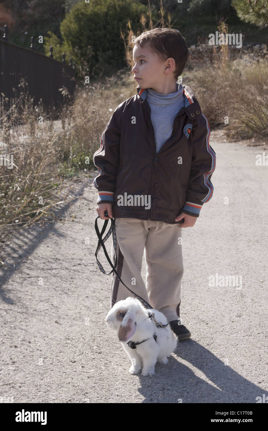 little boy walking pet rabbit on lead Stock Photo - Alamy