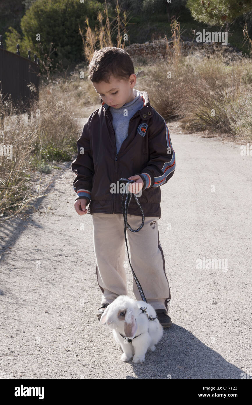 little boy walking pet rabbit on lead Stock Photo - Alamy