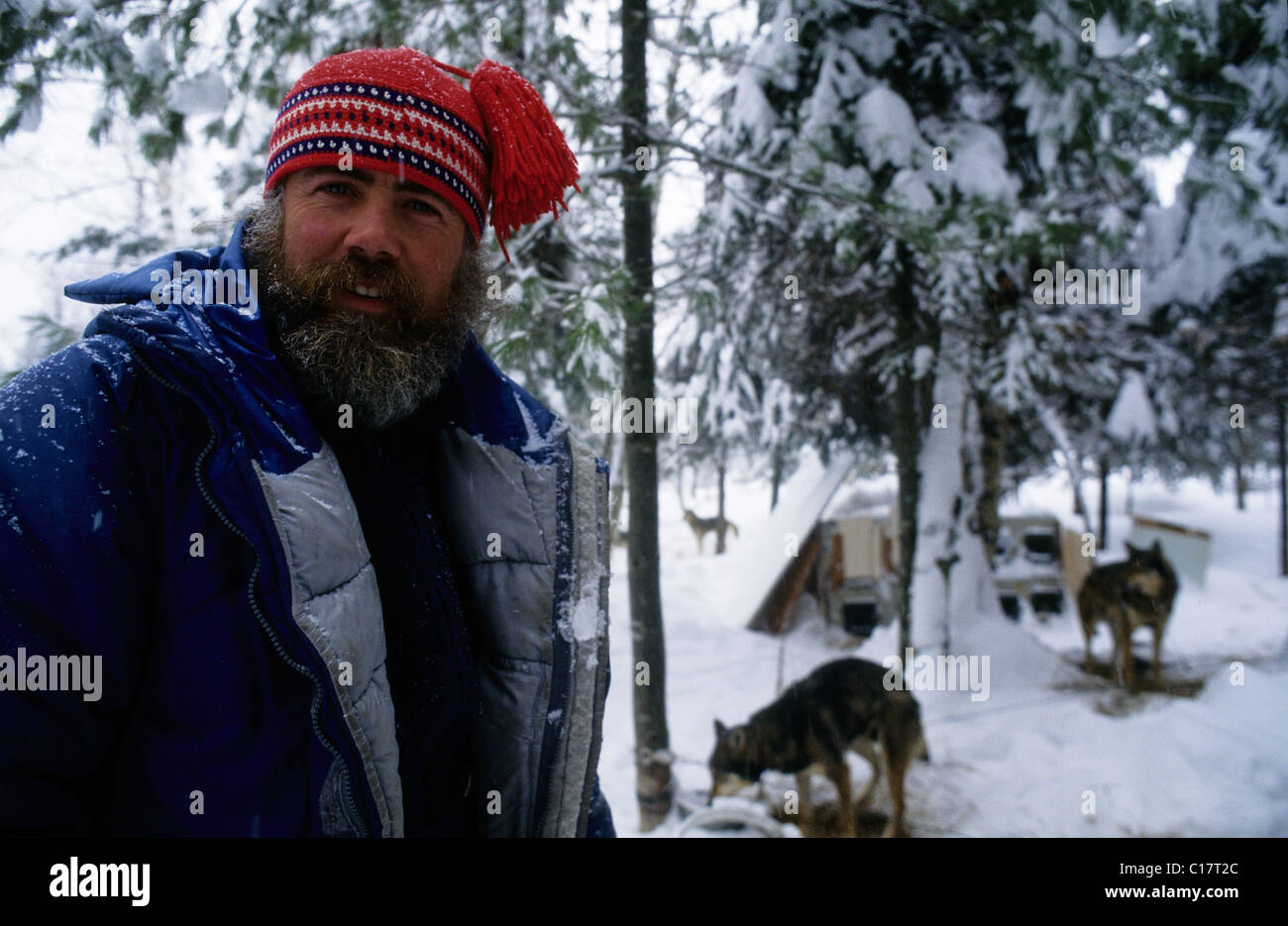 Canada, Quebec Province, trapper and his huskies Stock Photo - Alamy