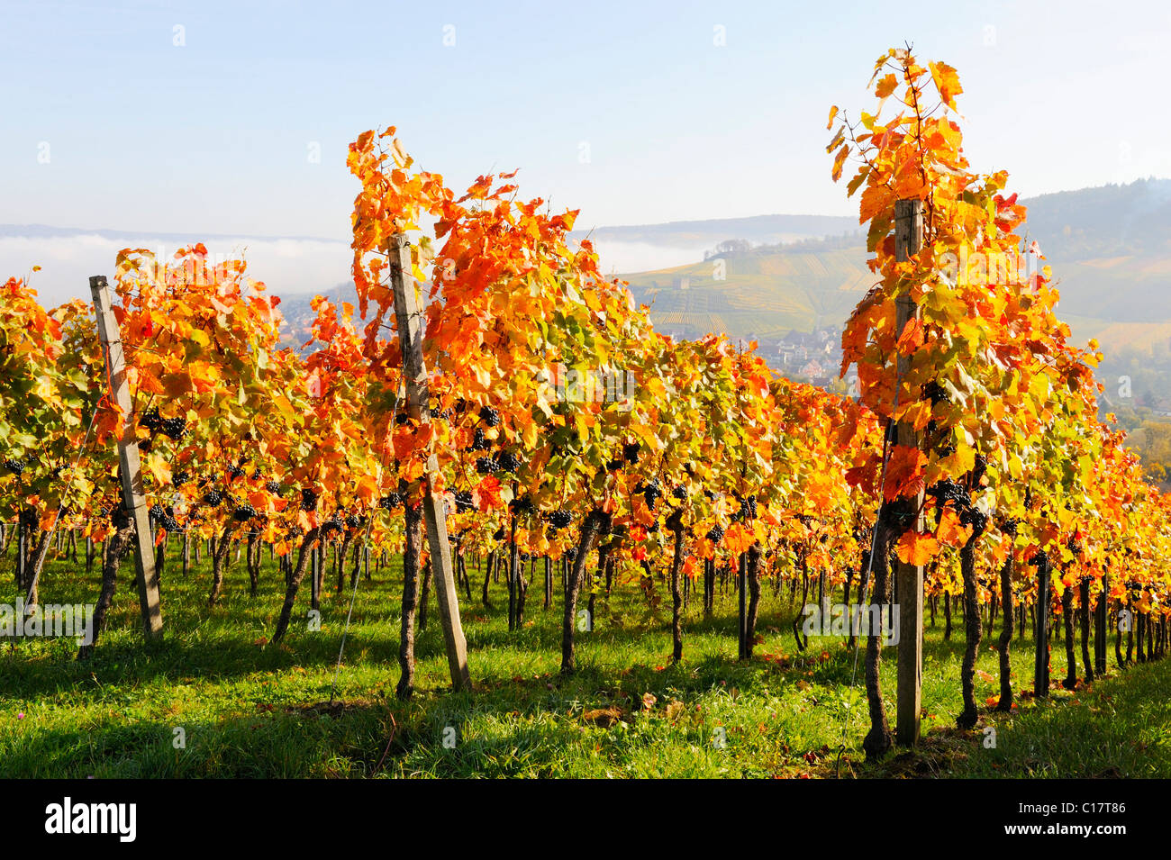 Country stetten hi-res stock photography and images - Alamy