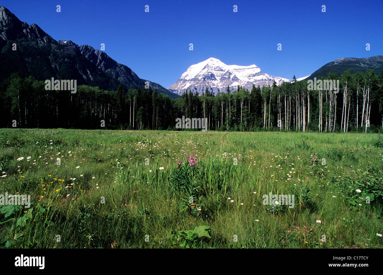 Canada, British Columbia, highest summit of the Rocky Mountains, the ...