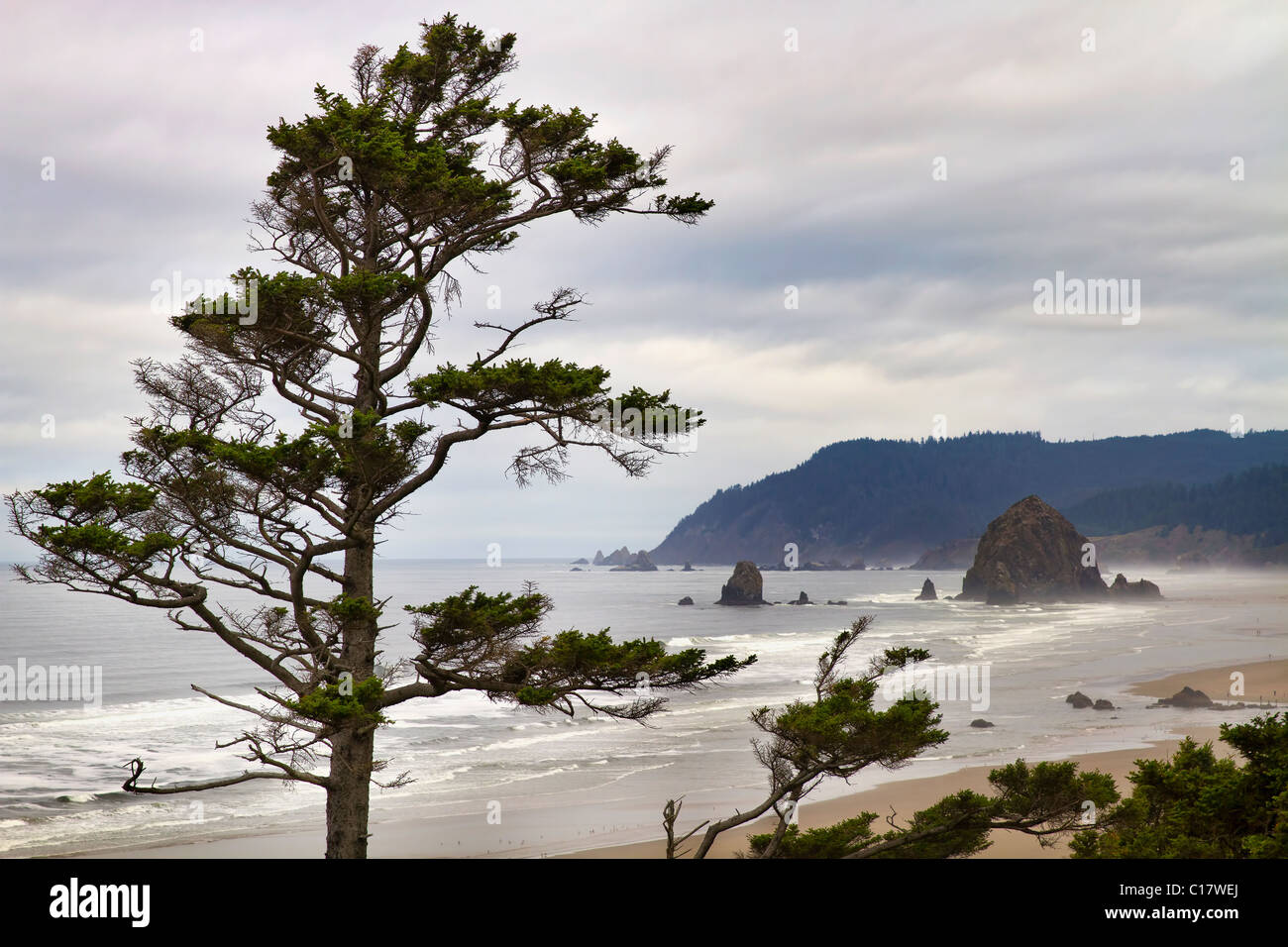View of Haystack Rock one foggy morning from Tolovana Beach Oregon ...