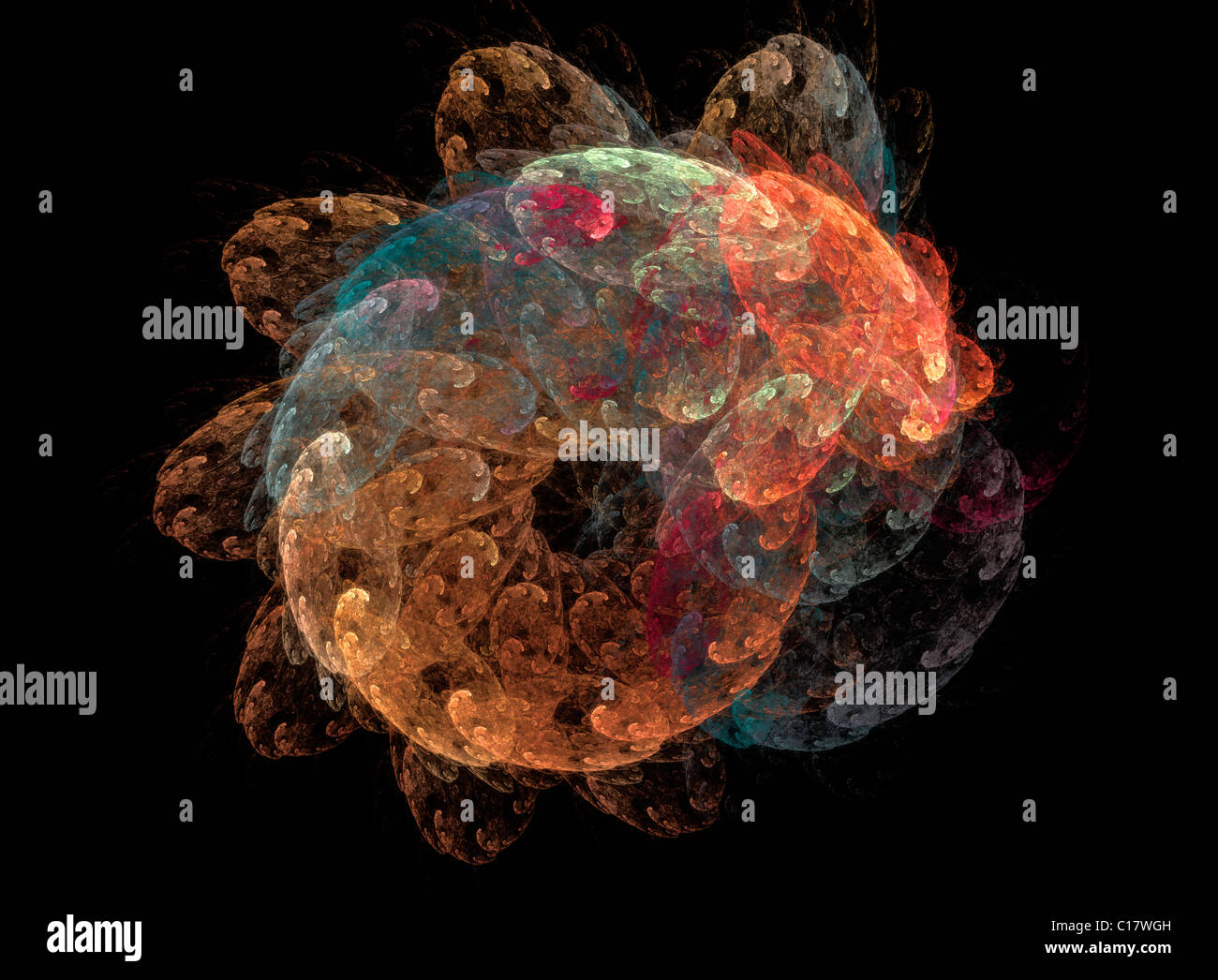 Fossilization hi-res stock photography and images - Alamy