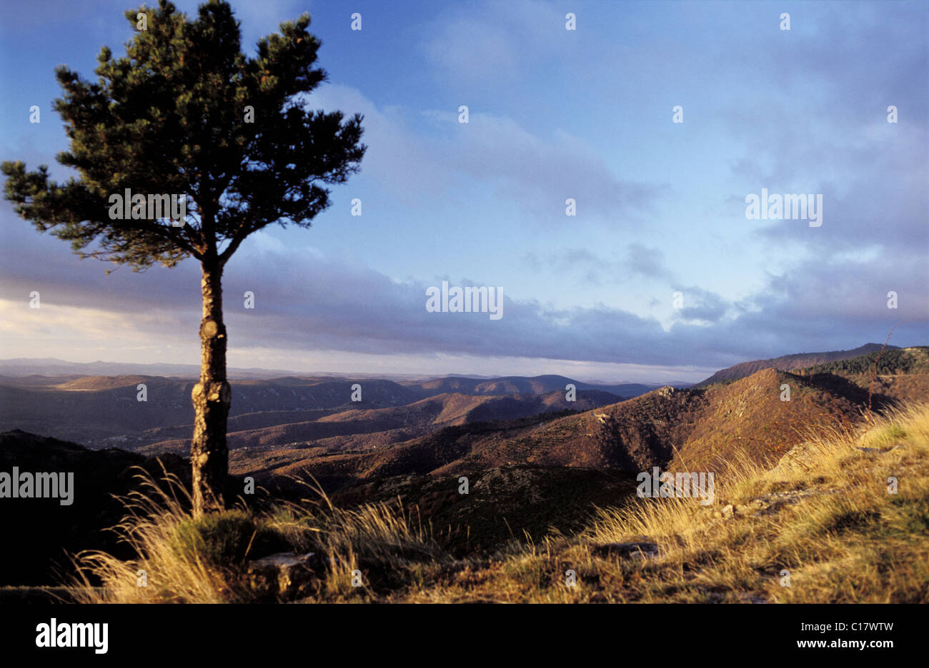 France, Gard, Cevennes national park, listed as Biosphere Reserve by ...